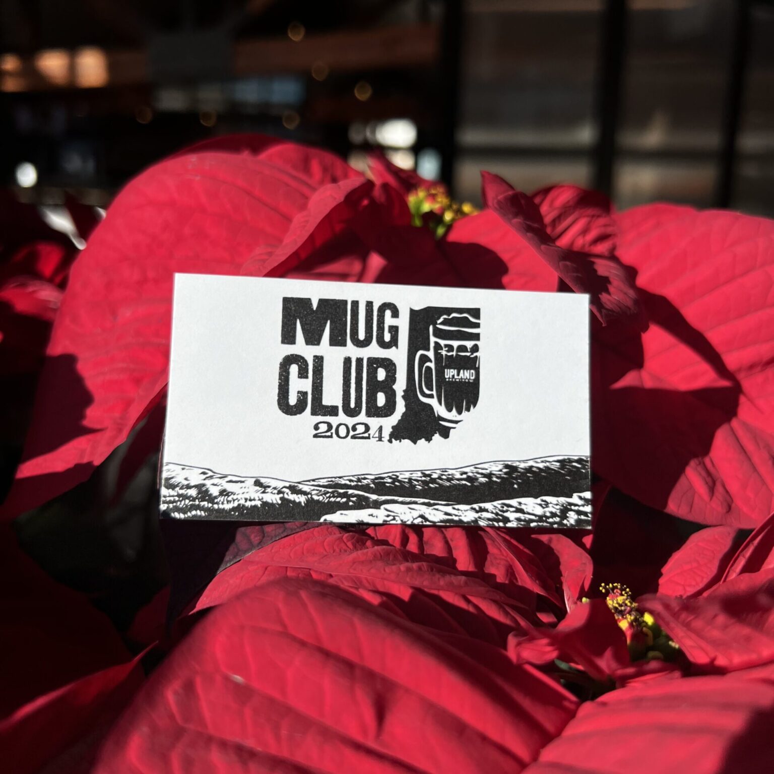 Mug Club - Upland Brewing Co